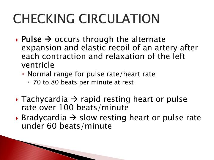 PPT - Chapter 16: The Cardiovascular System PowerPoint Presentation ...
