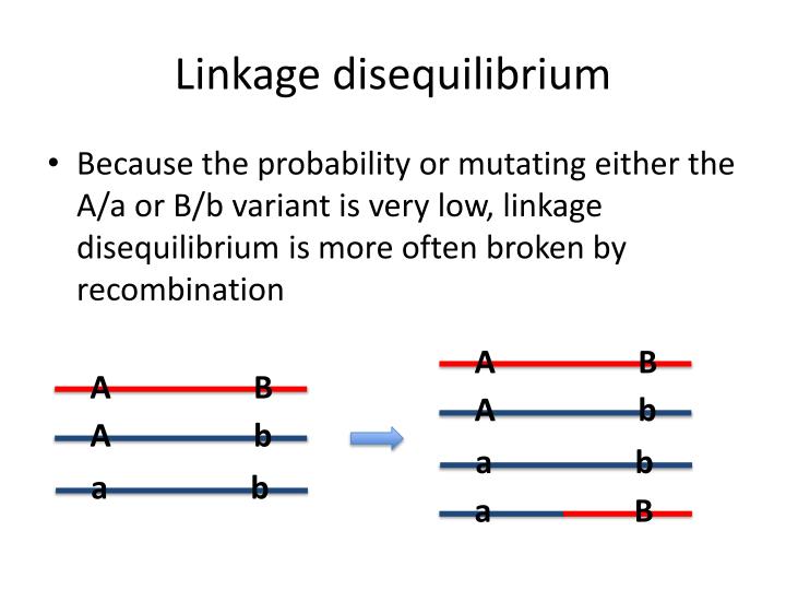 PPT - Linkage Disequilibrium PowerPoint Presentation - ID:1835650