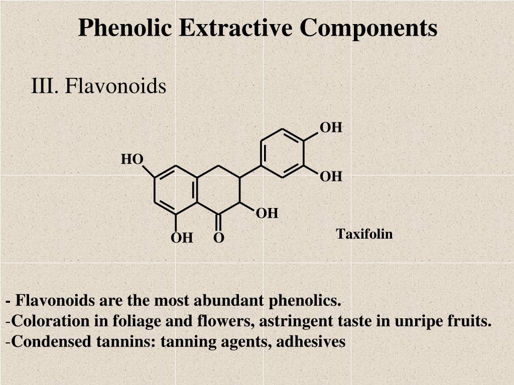 PPT - Extractive Components of Wood Barbara Cole University of Maine ...