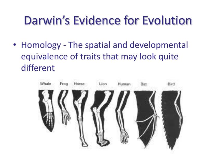 PPT - Forces that Drive Evolution PowerPoint Presentation - ID:1836124