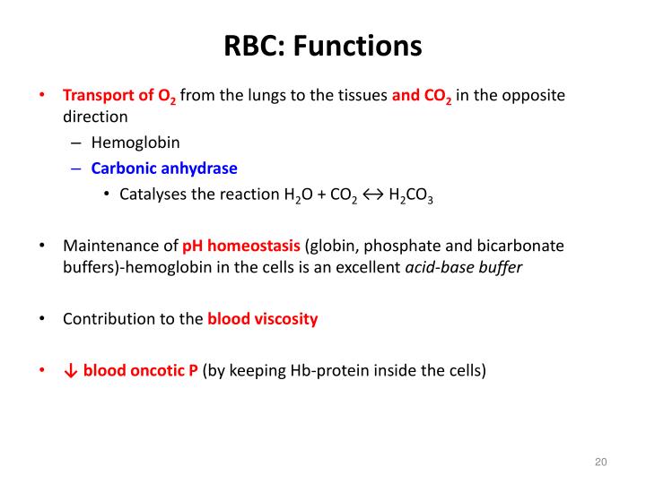 PPT - BLOOD 1. COMPOSITION, FUNCTIONS, RBC. PowerPoint Presentation ...