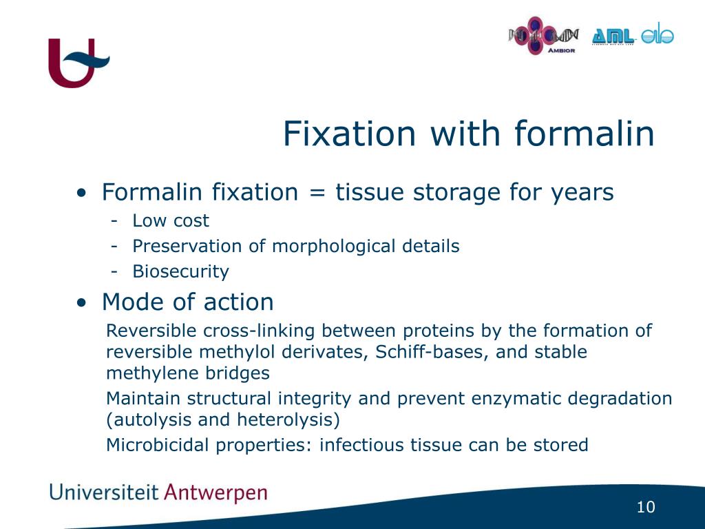 PPT - John-Paul Bogers, Ga ë lle Boulet AMBIOR Group, University of ...