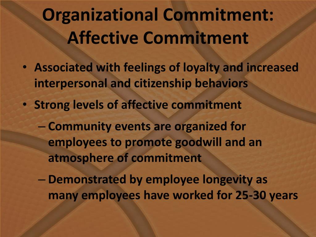 PPT - An Organizational Cultural Analysis of The Chicago Bulls ...