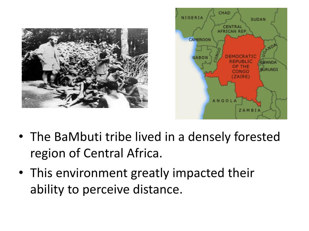 PPT - Beauty is in the Eye of the Beholder’s Schema PowerPoint ...