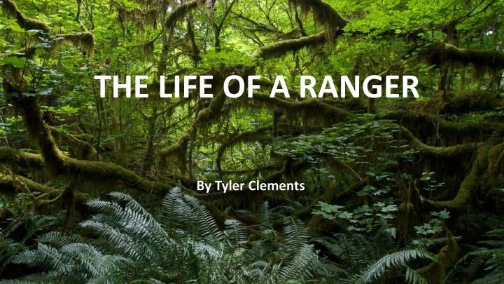 PPT - THE LIFE OF A RANGER PowerPoint Presentation, free download - ID ...