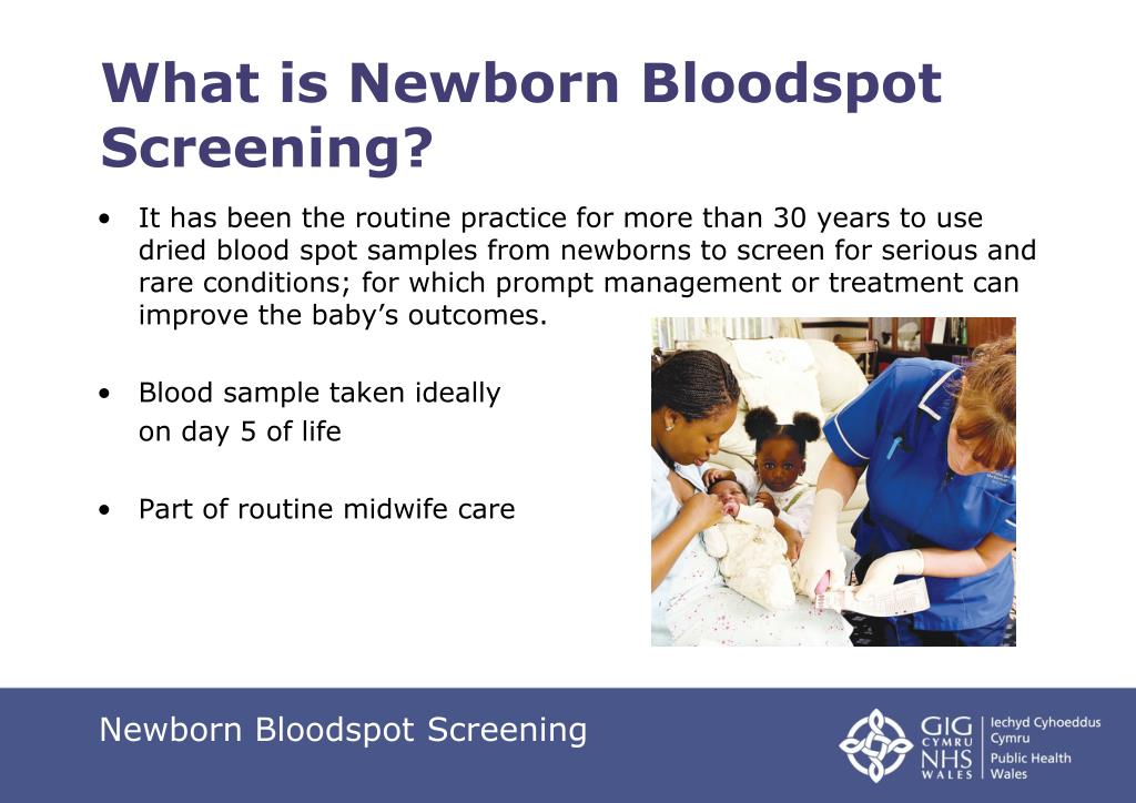 PPT - Newborn Bloodspot Screening: bringing it under the Screening ...