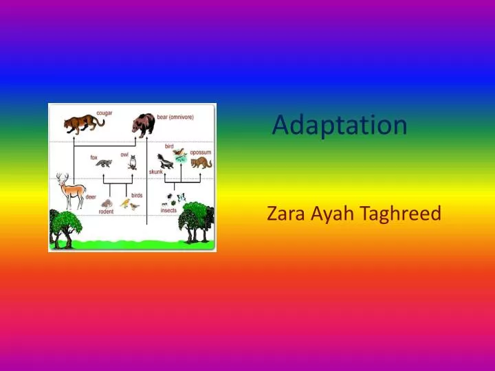 PPT - Adaptation PowerPoint Presentation, free download - ID:1841253