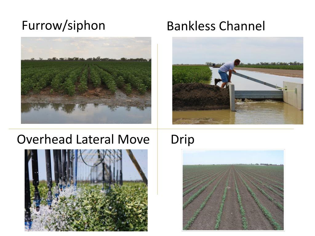 PPT - Improving Irrigation Efficiency in the Australian Cotton Industry ...
