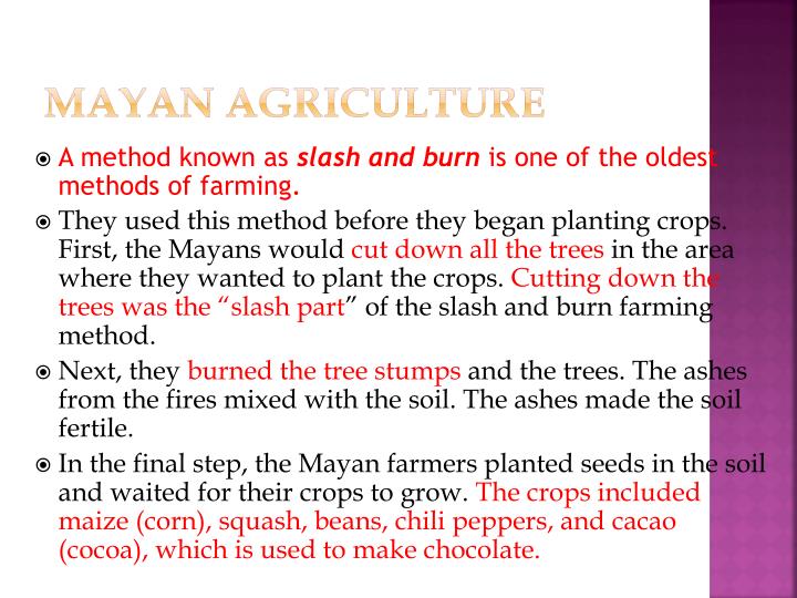 Mayan Farming And Agriculture