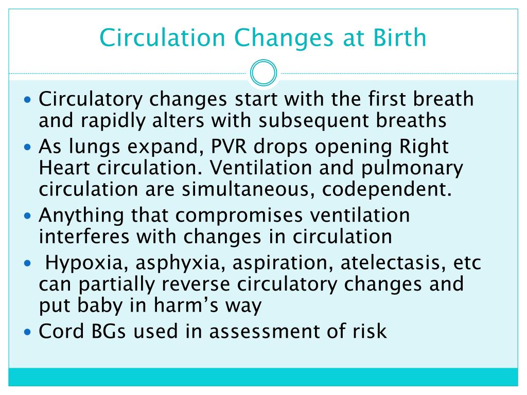 PPT - Neonatal & Pediatric Blood Gases PowerPoint Presentation - ID:1842602