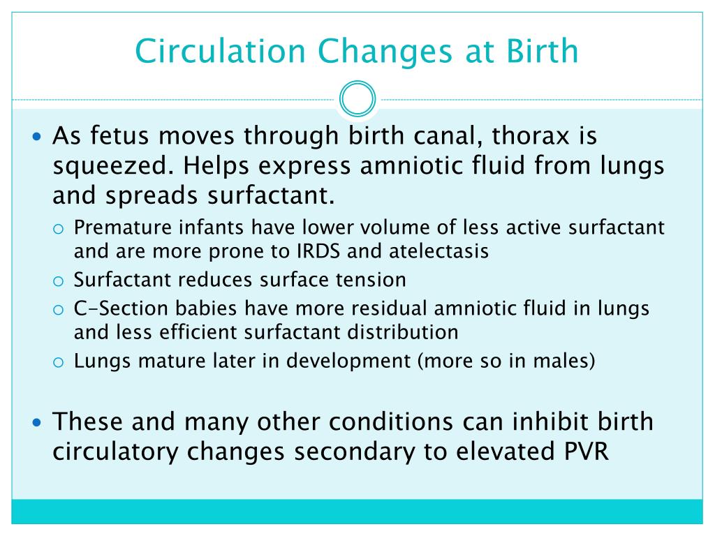 PPT - Neonatal & Pediatric Blood Gases PowerPoint Presentation - ID:1842602