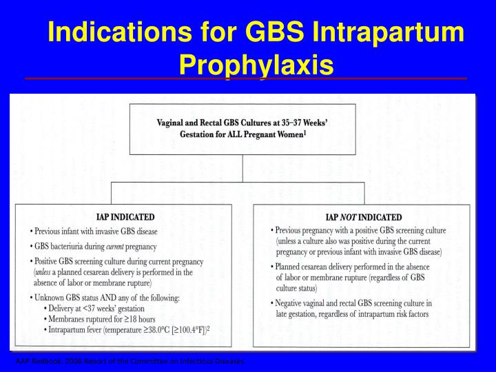 PPT - Neonatal Infections PowerPoint Presentation - ID:1842616