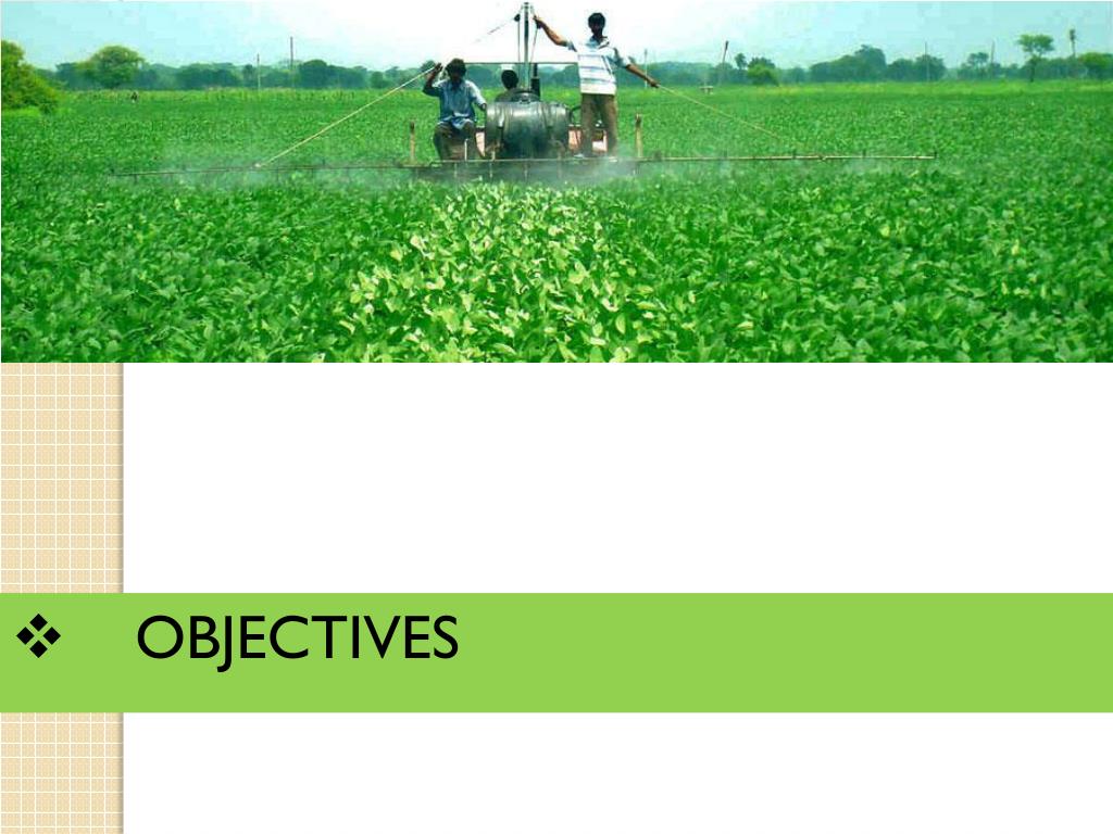PPT - SMALL FARMERES AGRIBUSINESS CONSORTIUM (SFAC ) PowerPoint ...