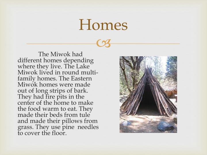 PPT - The Miwok PowerPoint Presentation - ID:1843043