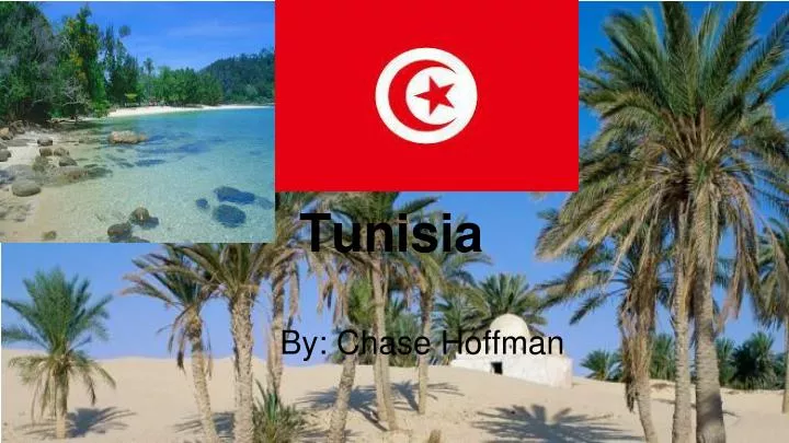 PPT - Tunisia PowerPoint Presentation, free download - ID:1843110