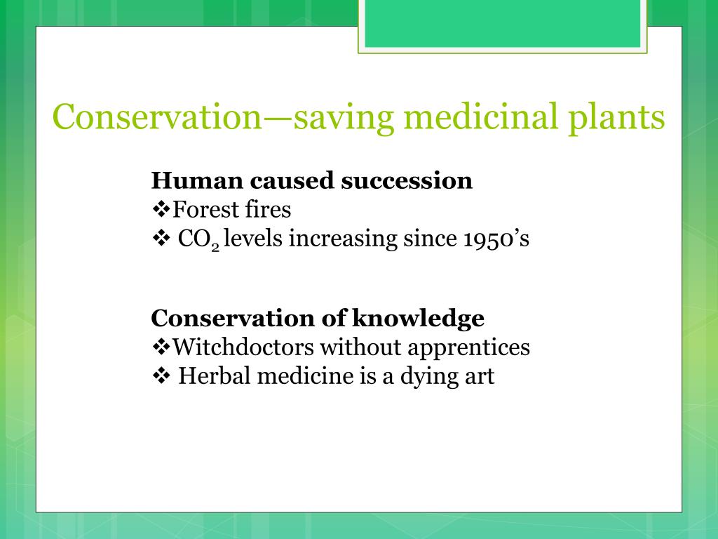 PPT - Phytochemistry and Conservation Concerning Medicinal Plants of ...