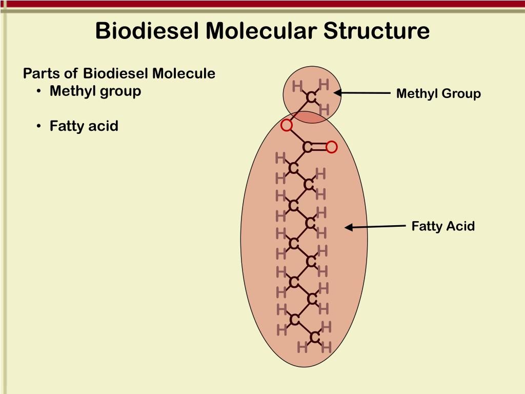PPT - Basic Chemistry of Biodiesel Production p resented at CCURI ...