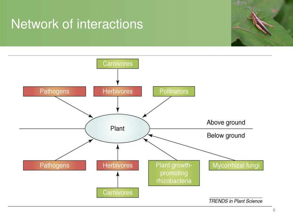 PPT - Herbivore-Induced Plant Volatiles: Plant Defence Against ...
