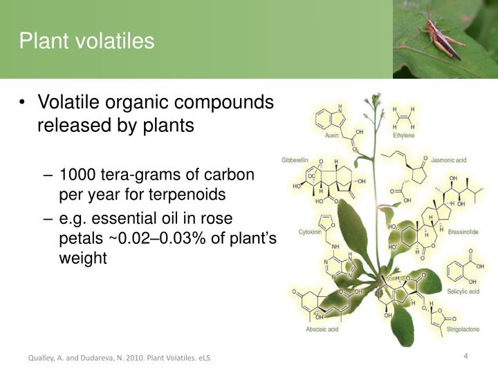 PPT - Herbivore-Induced Plant Volatiles: Plant Defence Against ...