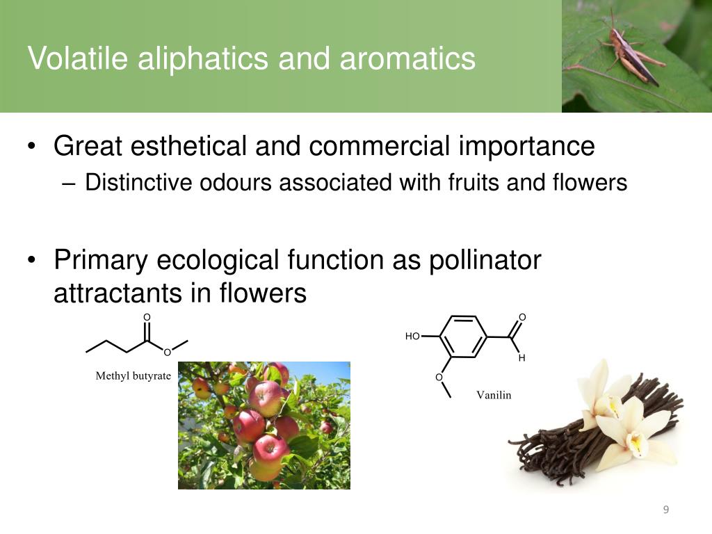 PPT - Herbivore-Induced Plant Volatiles: Plant Defence Against ...