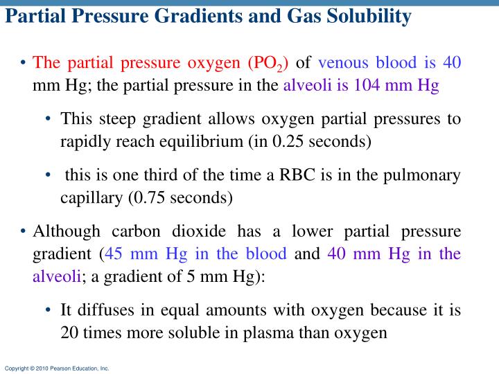 PPT - Functions of the Respiratory System PowerPoint Presentation - ID ...
