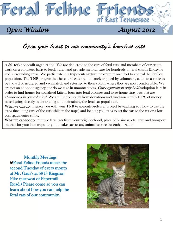 PPT - Open Window PowerPoint Presentation, free download - ID:1847302