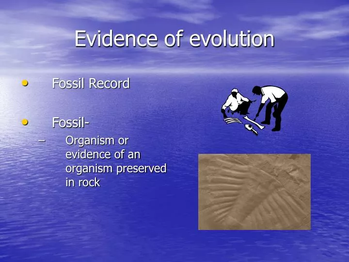 PPT - Evidence of evolution PowerPoint Presentation, free download - ID ...