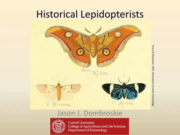 PPT - Historical Lepidopterists PowerPoint Presentation, free download ...