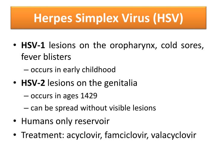 PPT - MEDICALLY IMPORTANT VIRUS (The DNA Virus) PowerPoint Presentation ...