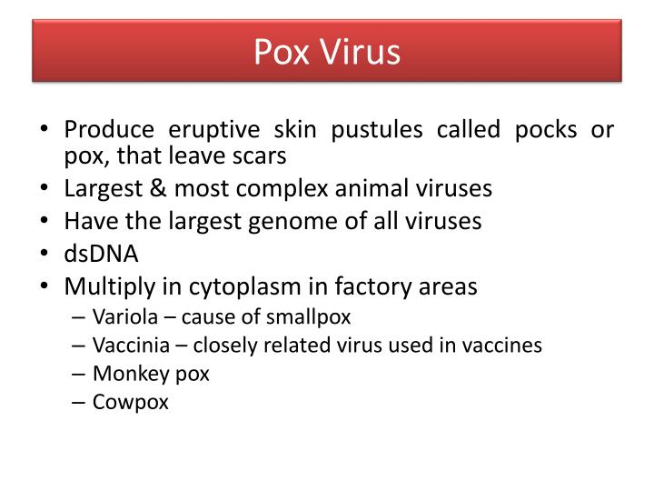 PPT - MEDICALLY IMPORTANT VIRUS (The DNA Virus) PowerPoint Presentation ...