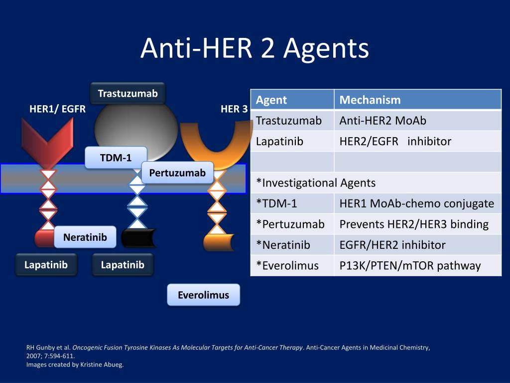 PPT - What’s New in HER2: Current Issues in HER2 Positive Breast Cancer ...