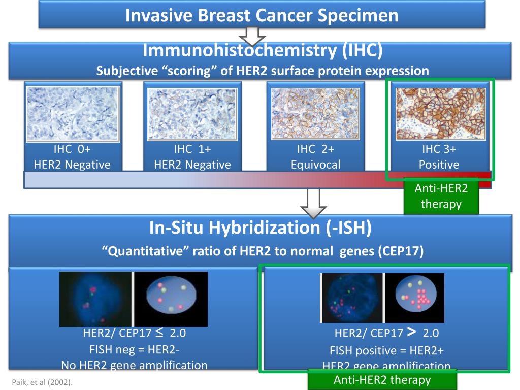 PPT - What’s New in HER2: Current Issues in HER2 Positive Breast Cancer ...