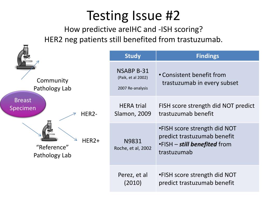 PPT - What’s New in HER2: Current Issues in HER2 Positive Breast Cancer ...