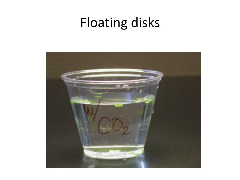 PPT - Photosynthesis Lab PowerPoint Presentation, free download - ID ...