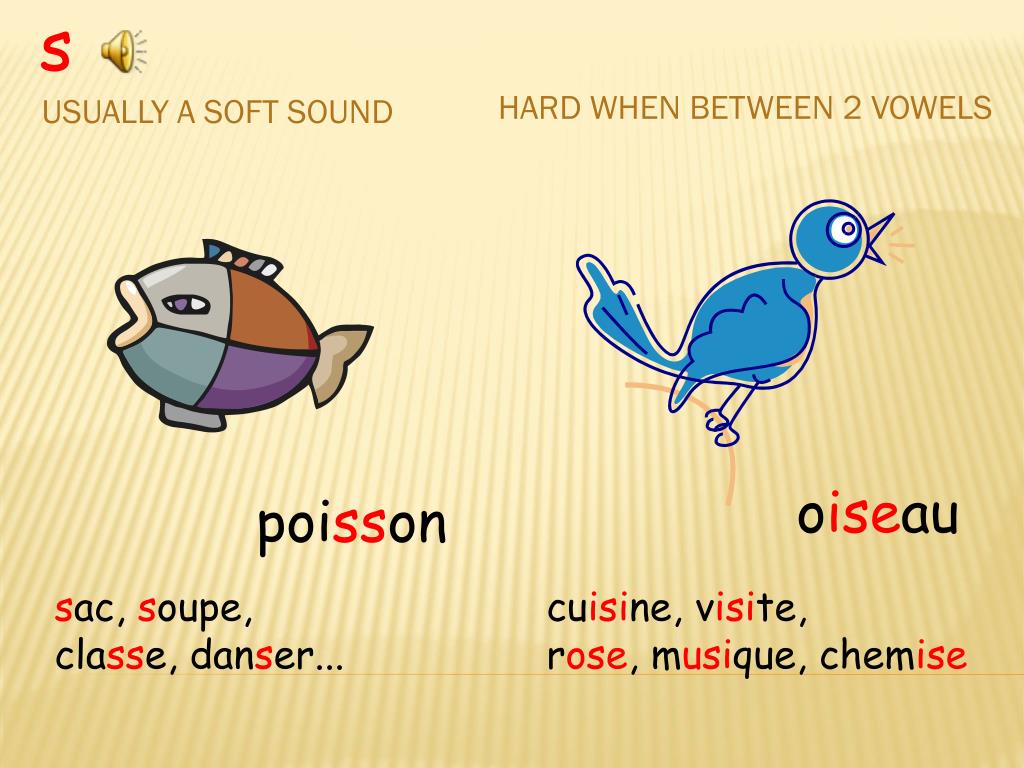 PPT - Key French sounds & spellings (a very general & simplified ...