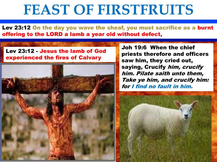 PPT - The FEAST OF FIRSTFRUITS PowerPoint Presentation - ID:1850898
