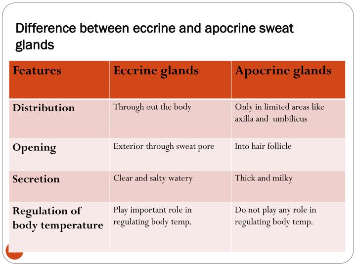 PPT - Cosmetics Lecture 9 PowerPoint Presentation - ID:1851258