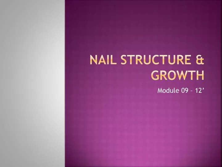 PPT - Nail Structure & Growth PowerPoint Presentation, free download ...