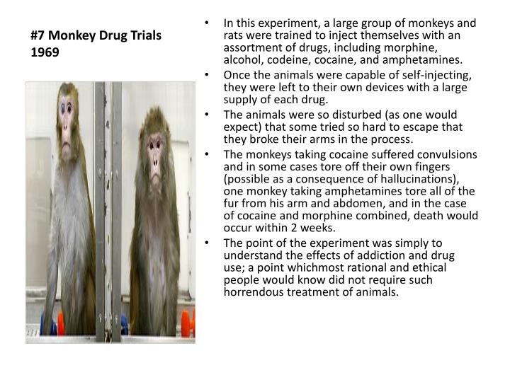 PPT - Top 10 Unethical Psychological Experiments PowerPoint ...