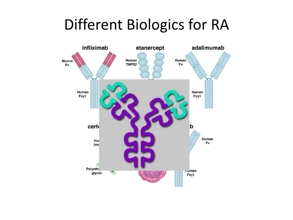 PPT - Treat to Target, Role of Orencia in Achieving the target ...