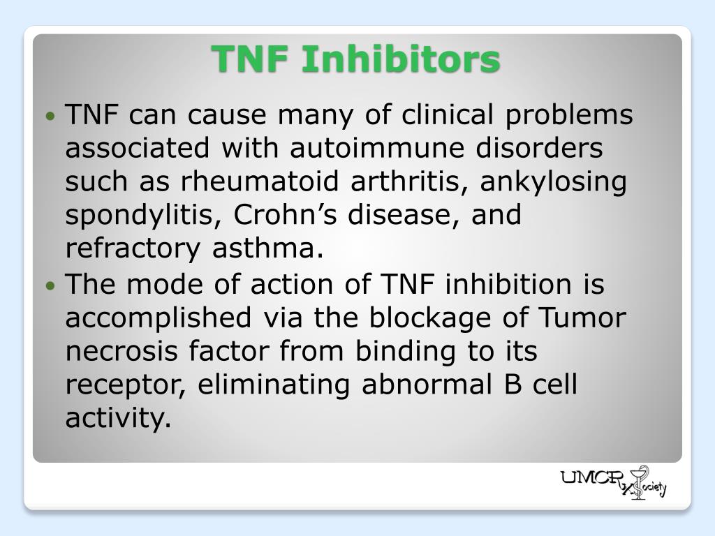 PPT - Pre-Pharmacy Society umdprepharm@gmail.com studentorg.umd.edu ...