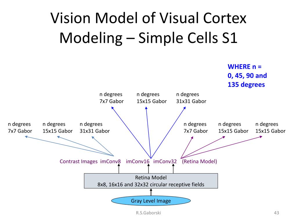 Ppt Biologically Inspired Intelligent Systems Powerpoint Presentation Id 1852515