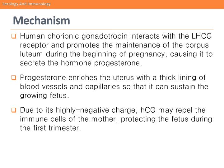 PPT - HCG human chorionic gonadotropin PowerPoint Presentation - ID:1852903