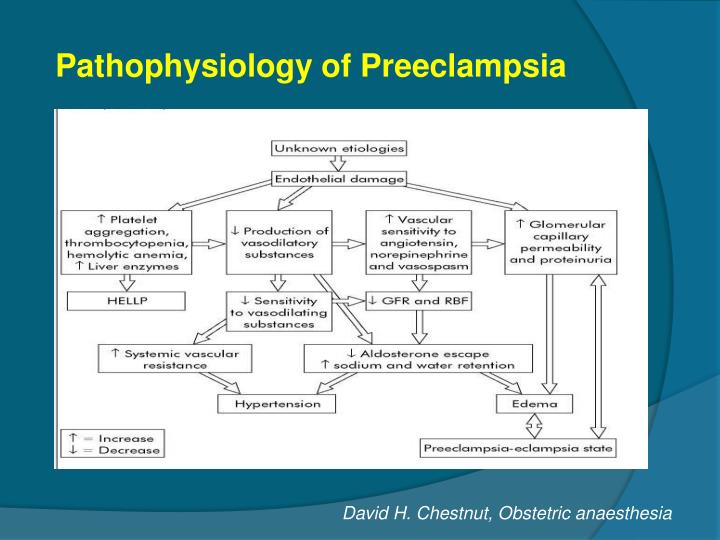 PPT - Pregnancy induced hypertension ( PIH ) & Eclampsia PowerPoint ...