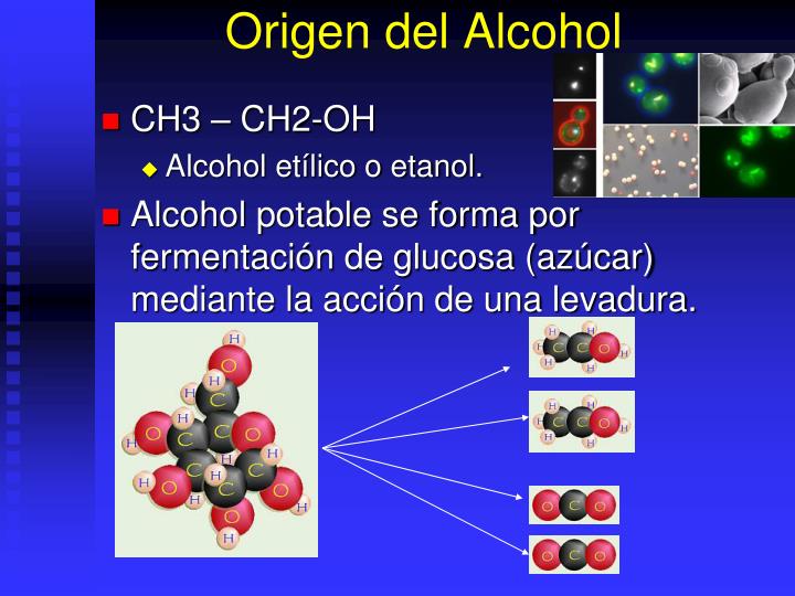 PPT - Alcohol 101: Conceptos básicos para el uso de bebidas alcoholicas ...