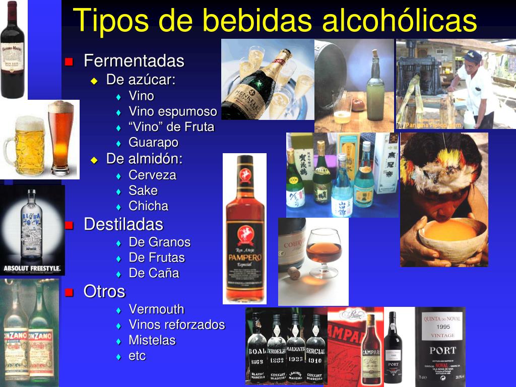 PPT - Alcohol 101: Conceptos básicos para el uso de bebidas alcoholicas ...