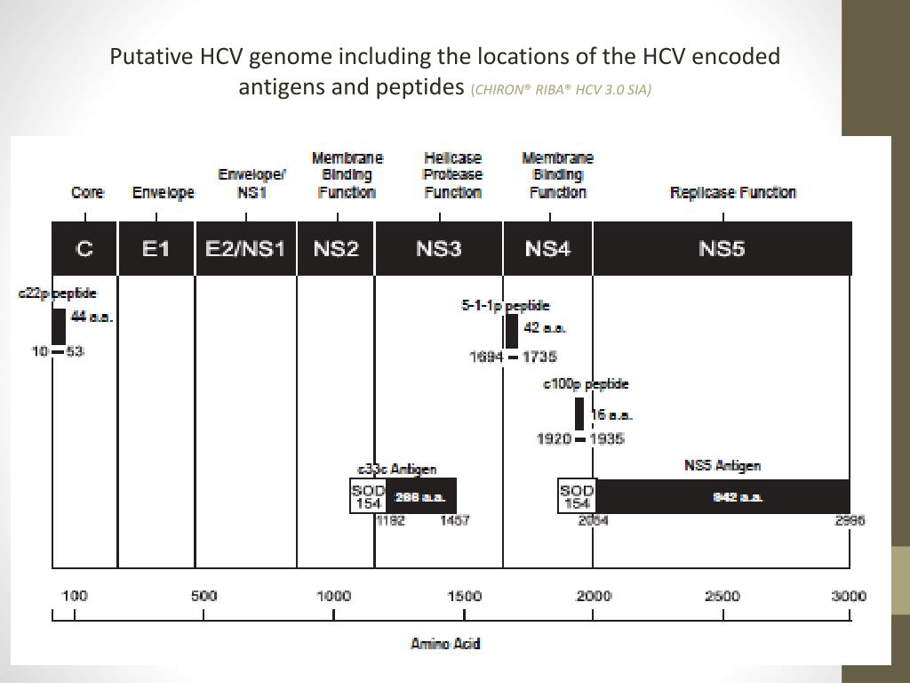 PPT - HCV Assays: Impact on HCV Studies & Update on HCV blood bank ...