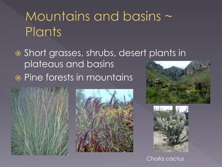 PPT - Regions of texas PowerPoint Presentation - ID:1854471