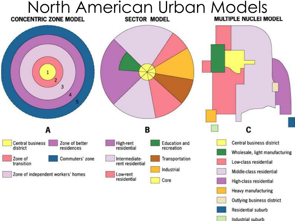 PPT - USA and Brazil: global role dynamic areas PowerPoint Presentation ...