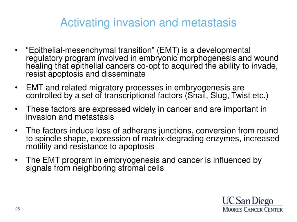 PPT - The Biology of Cancer PowerPoint Presentation, free download - ID ...